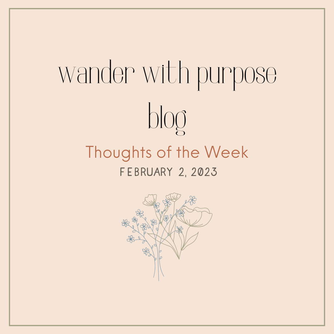 Thoughts of the Week - February 2 – Wanderer Catholic